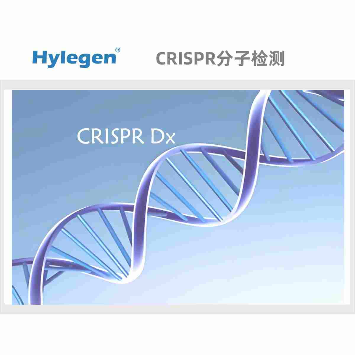 核酸检测试纸条(CRISPR SHERLOCK)