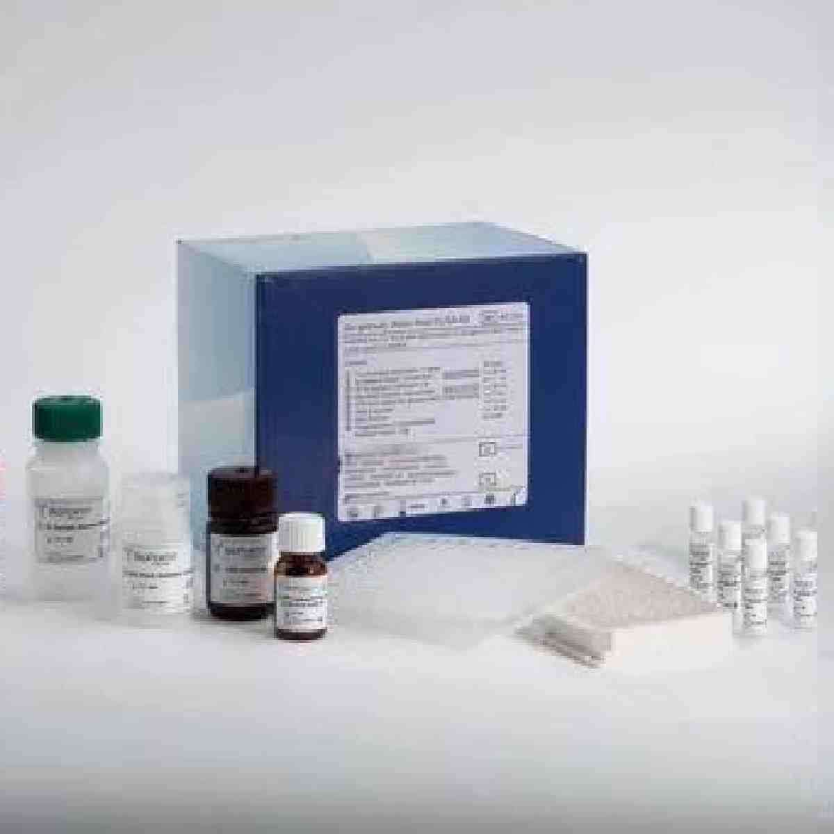 Hyle One Step Cloning Kit