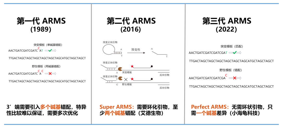 重磅！第三代ARMS PCR技术问世，助力PCR试剂盒高效开发！