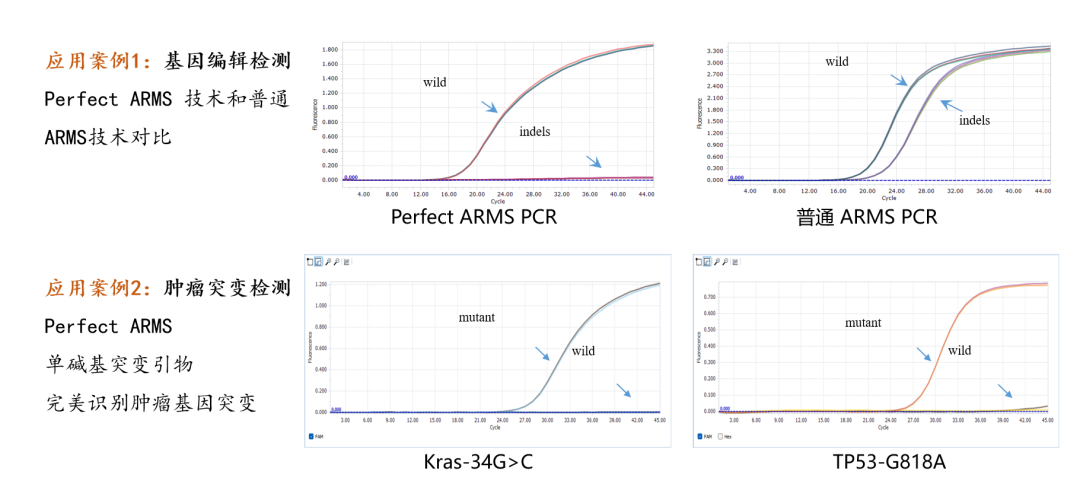 重磅！第三代ARMS PCR技术问世，助力PCR试剂盒高效开发！